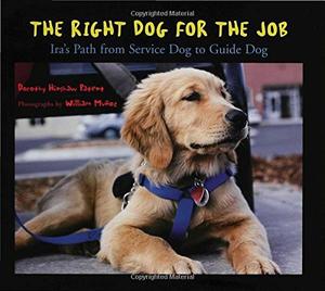 THE RIGHT DOG FOR THE JOB | Kirkus Reviews