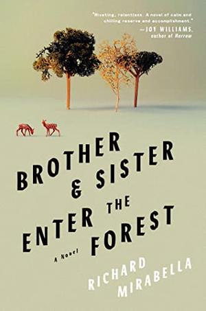 BROTHER & SISTER ENTER THE FOREST | Kirkus Reviews