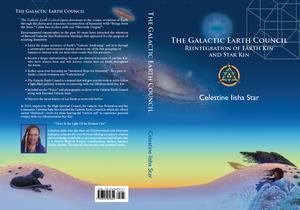 THE GALACTIC EARTH COUNCIL | Kirkus Reviews