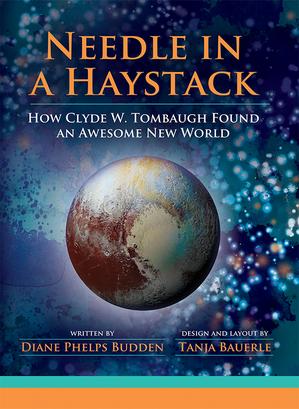 NEEDLE IN A HAYSTACK | Kirkus Reviews